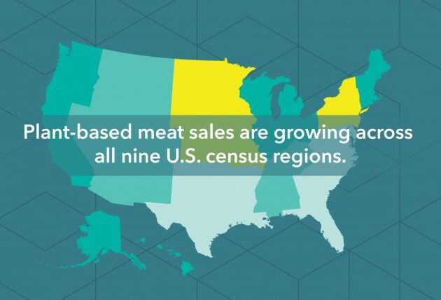 Caroline Bushnell Archives - The Good Food Institute