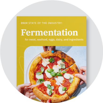 State of the Industry: Fermentation for meat, seafood, eggs, dairy, and ...