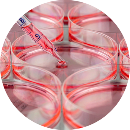 The science of cultivated meat | GFI