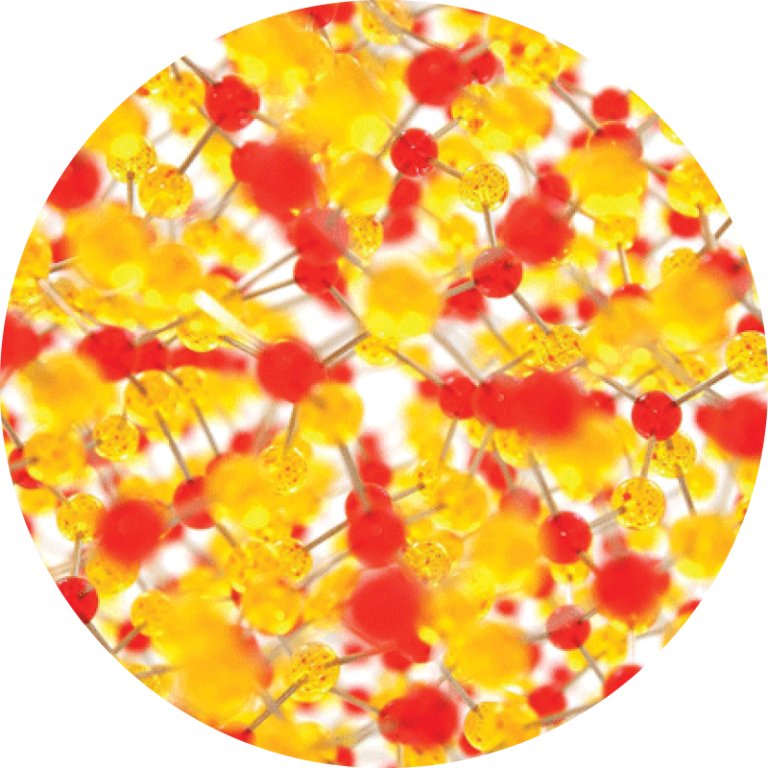 The science of fermentation (2025) | GFI