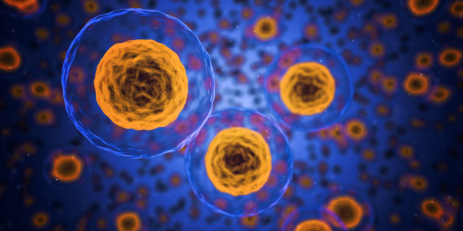 Cultivated Meat Cell Line Initiative (2021) | The Good Food Institute