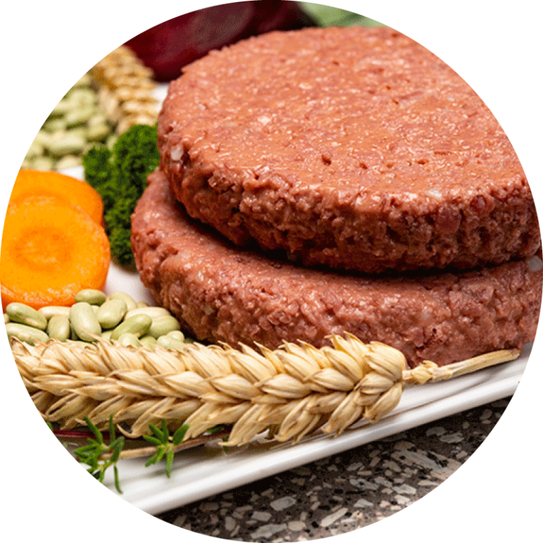 The science of plant-based meat (2021) | GFI