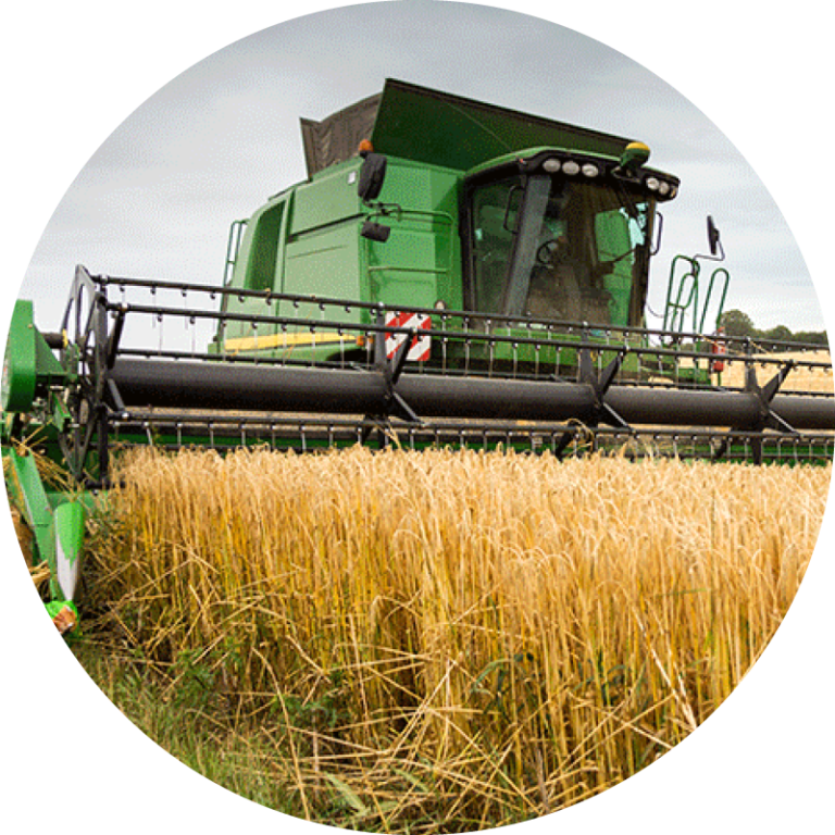 The science of plant-based meat (2021) | GFI