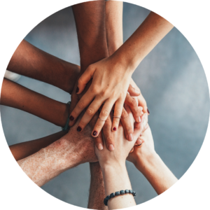 What is cultivated meat? | The Good Food Institute