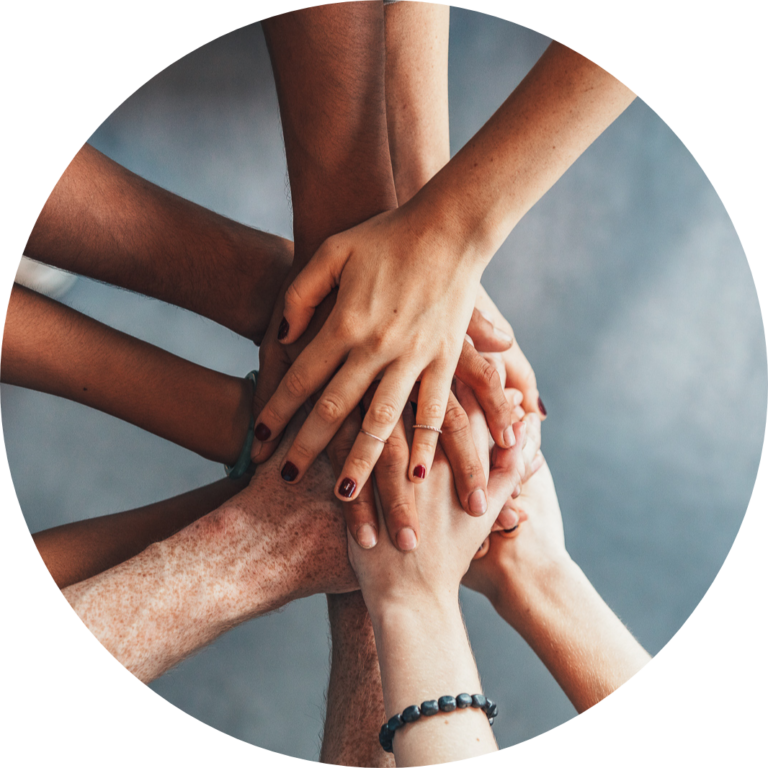 What is fermentation for alternative proteins? | GFI