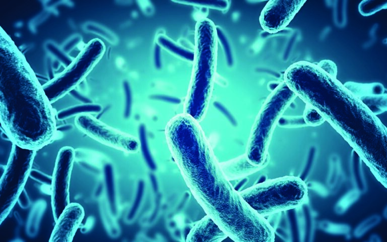 Microbial proteins: Overview and best practices - The Good Food Institute
