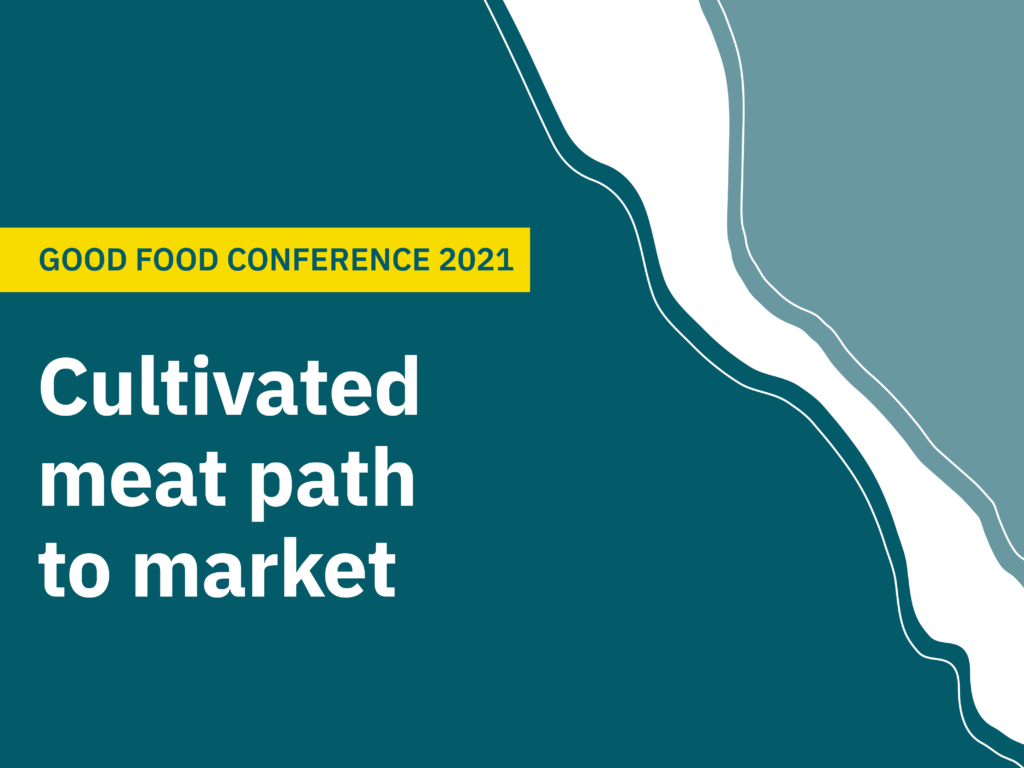 Cultivated meat path to market - The Good Food Institute