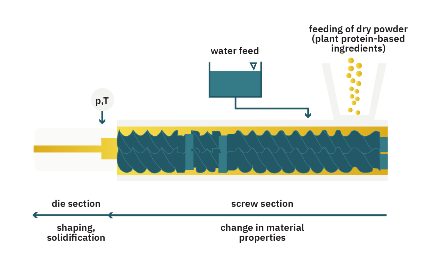 Deep dive: Plant-based meat end product formulation and manufacturing | GFI