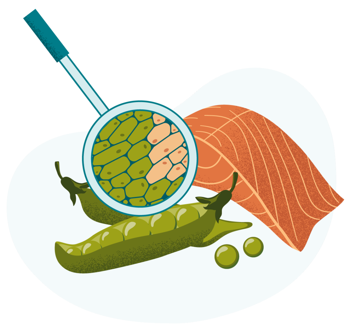 Dr. Julian McClements’ lab is at the cutting edge of plant-based meat ...