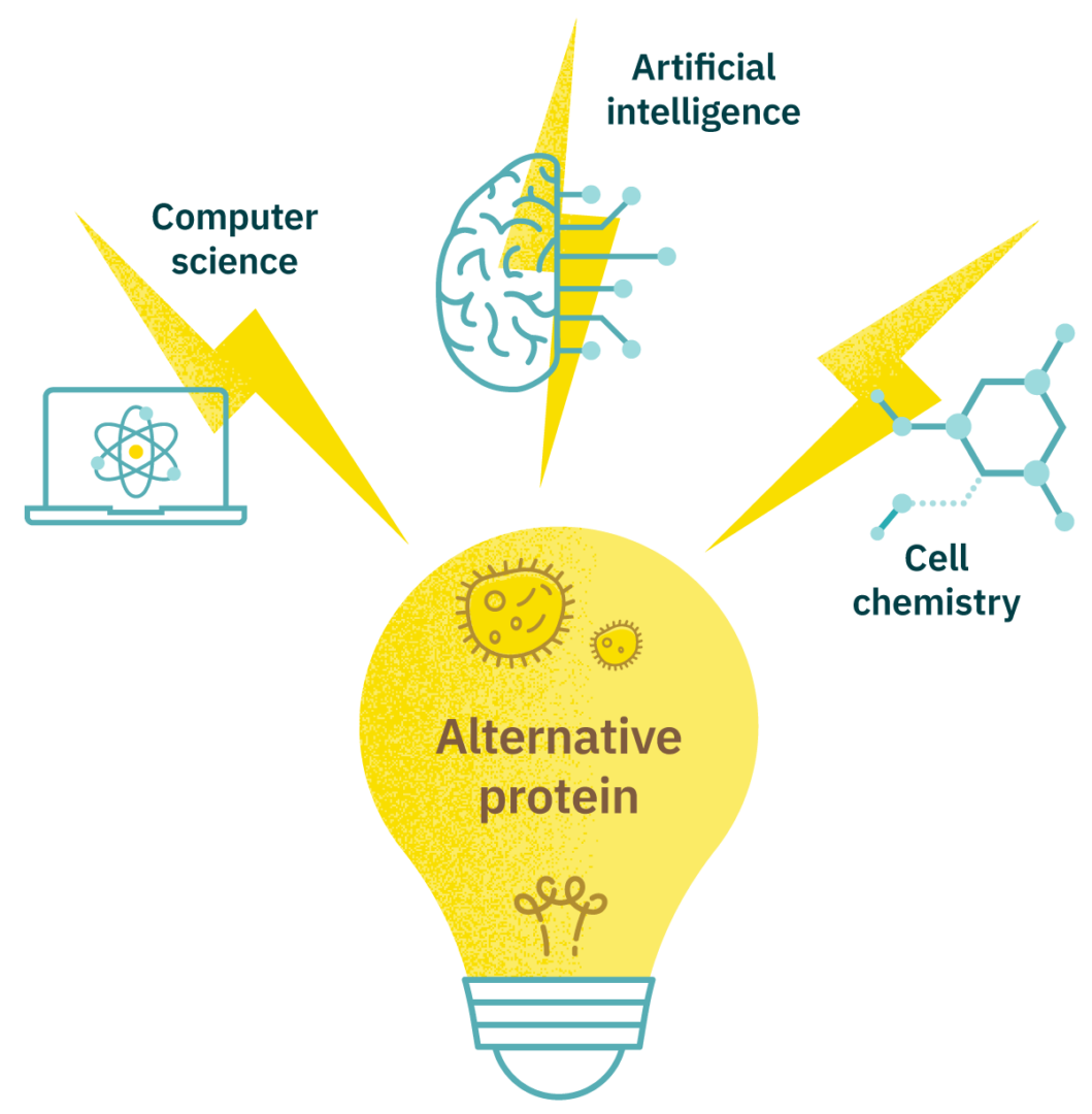 Dr. Julian McClements’ lab is at the cutting edge of plant-based meat ...