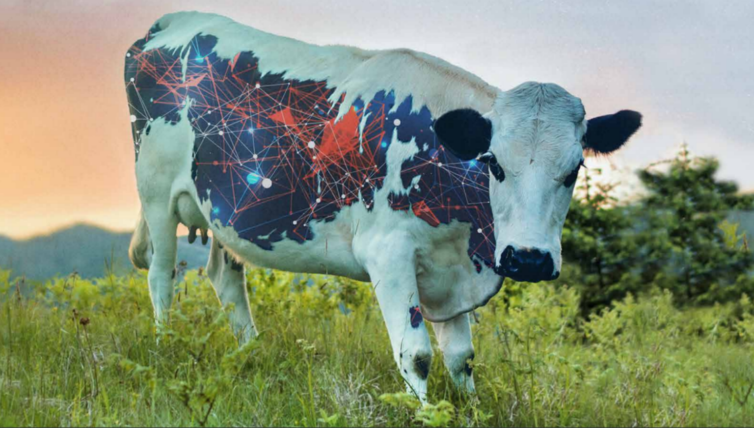 Meat the Future: We shall escape the absurdity - The Good Food Institute