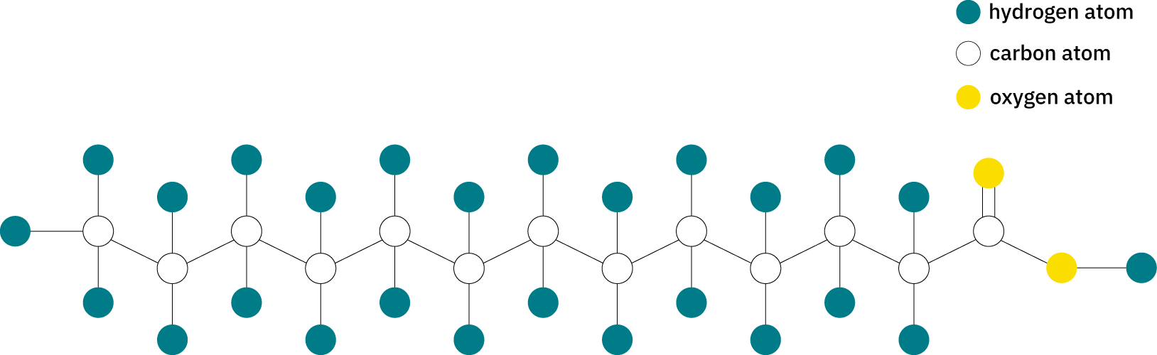 Research on animal-free fats presents un-fat-homable possibilities for ...