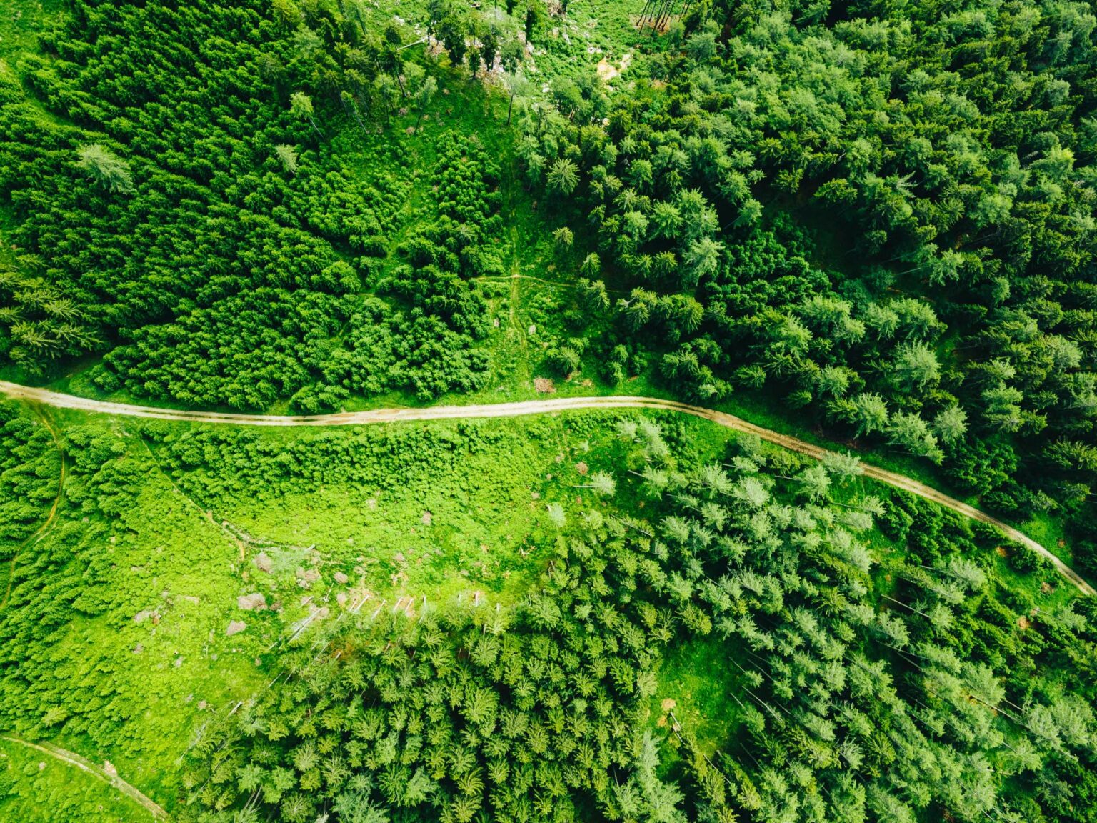 Environmental benefits of alternative proteins - The Good Food Institute