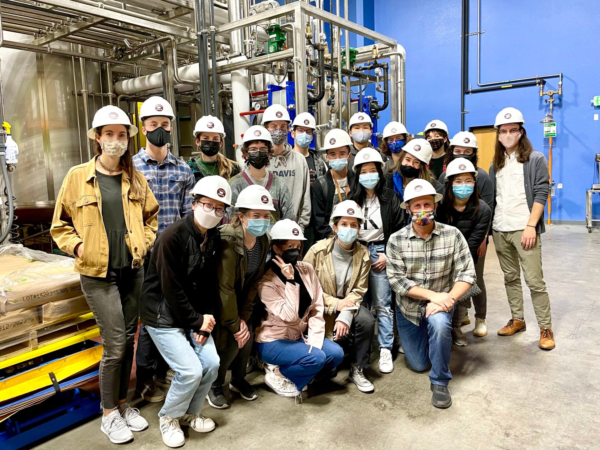 Creating an inspiring, inclusive alternative protein community - The ...