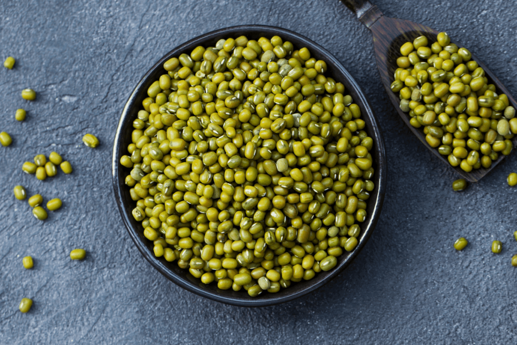 The Science of Alt Protein: Modification and application of mung bean ...