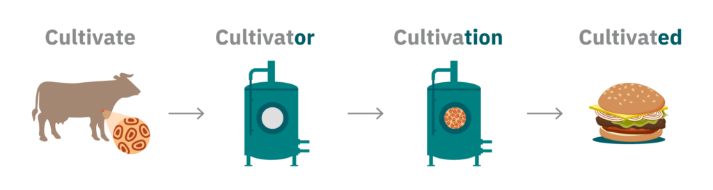 Cultivated meat media kit - The Good Food Institute