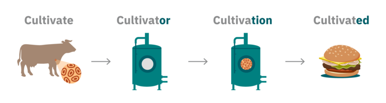 Cultivated meat media kit - The Good Food Institute