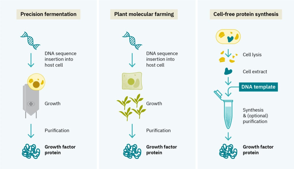 Cultivated meat growth factor volume and cost analysis - The Good Food ...