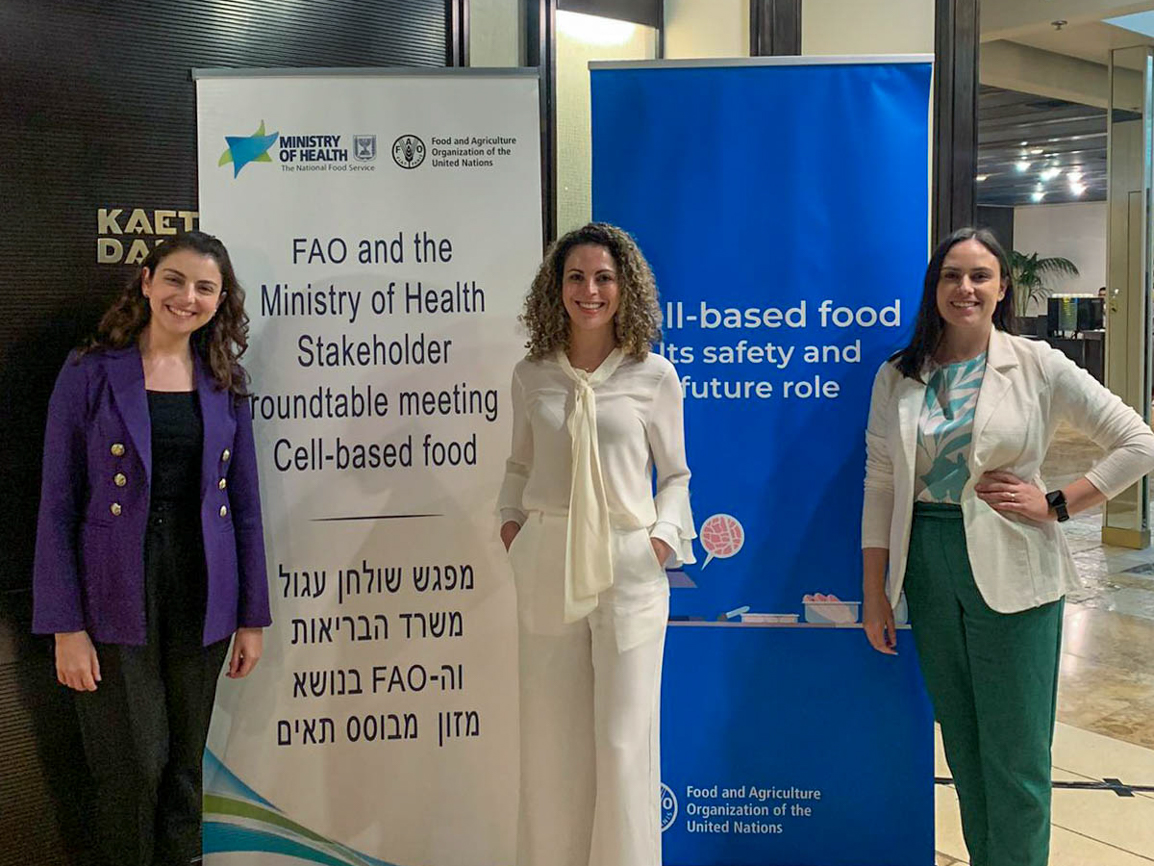 Year in Review 2022 - The Good Food Institute