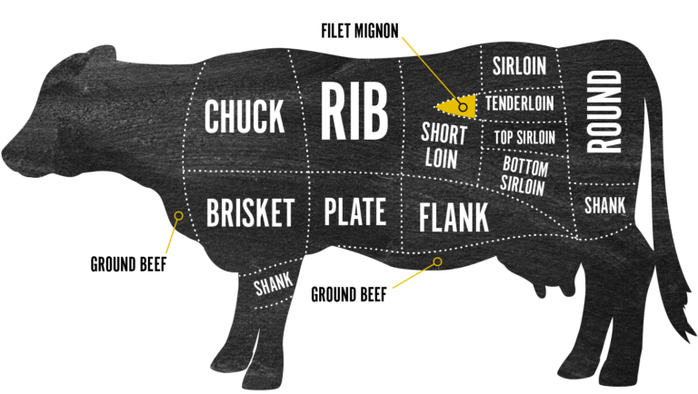 Cultivated meat end products | Deep dive | GFI