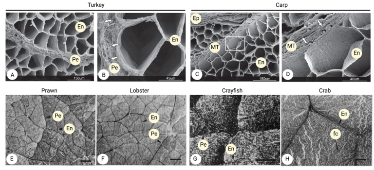 Cultivated meat end products | Deep dive | GFI