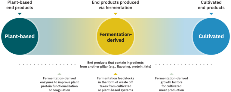 2023 outlook: The state of the plant-based meat category - The Good ...