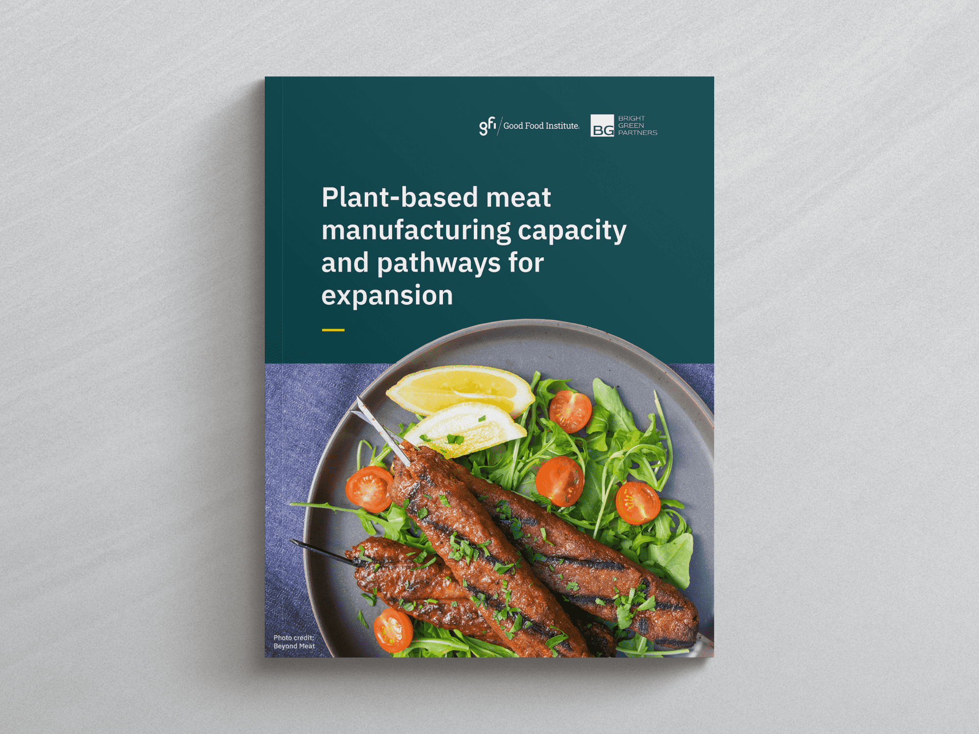 Plant-based meat manufacturing capacity and pathways for expansion ...