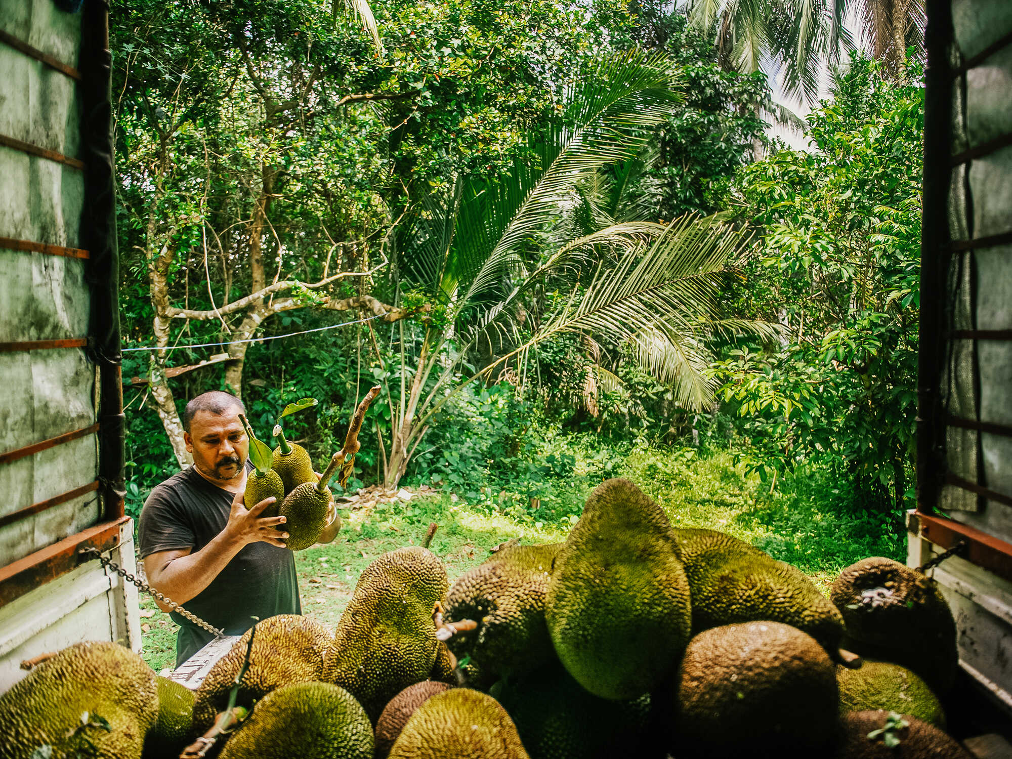 Novel ingredients: an expanding toolkit of crops and nature-based ...