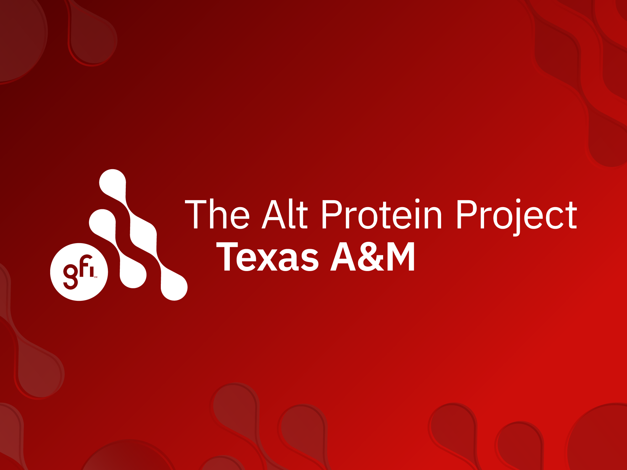 The TAMU Alt Protein Project - The Good Food Institute