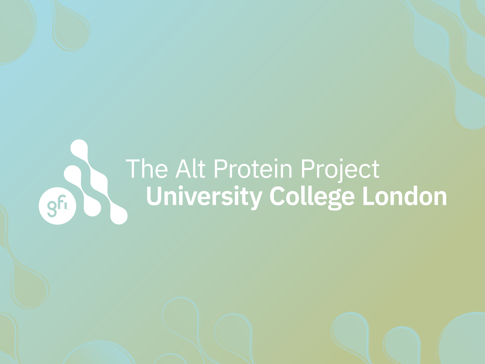 The UCL Alt Protein Project - The Good Food Institute