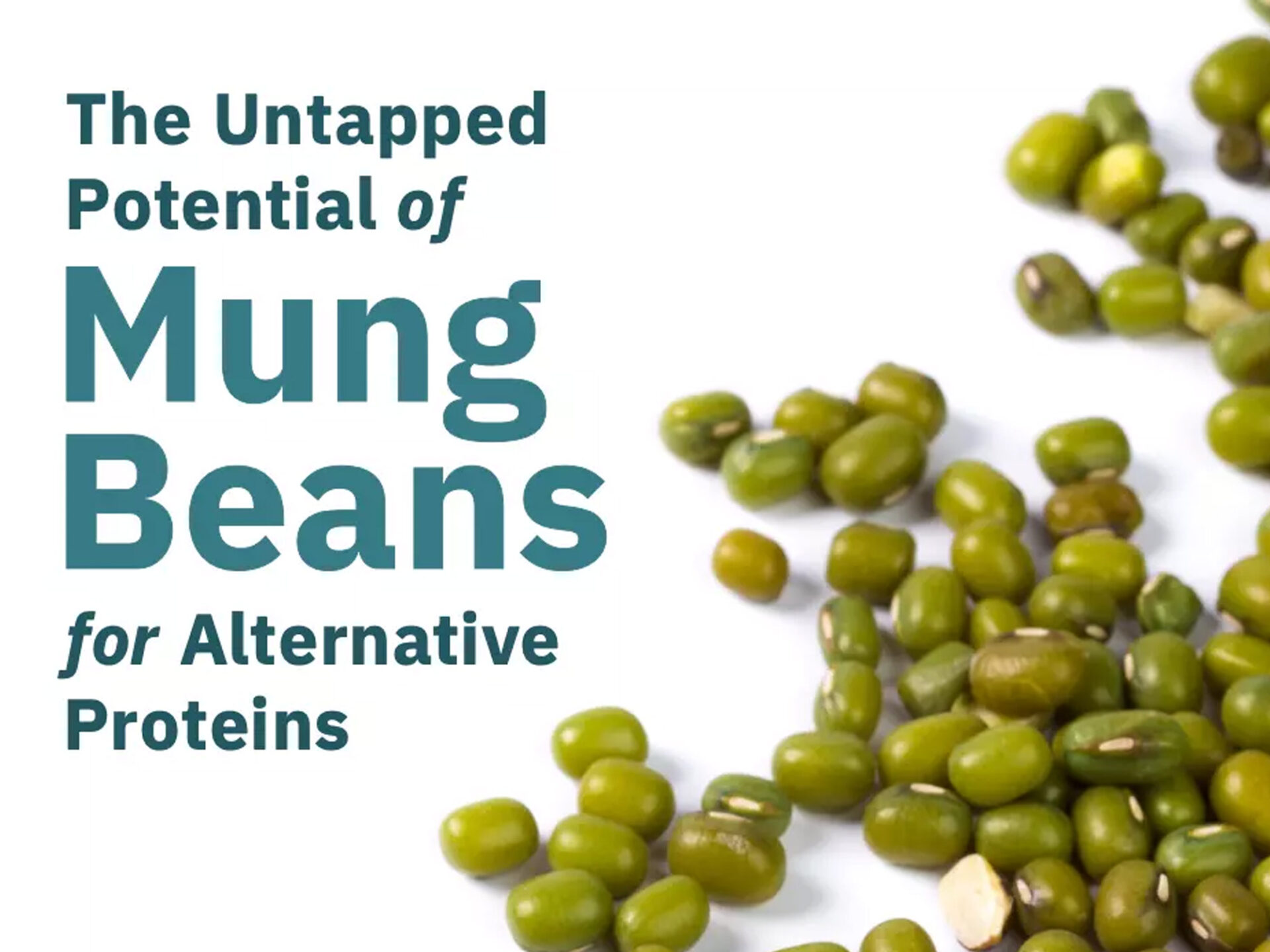 Cultivating alternative proteins from commodity crop sidestreams - The ...