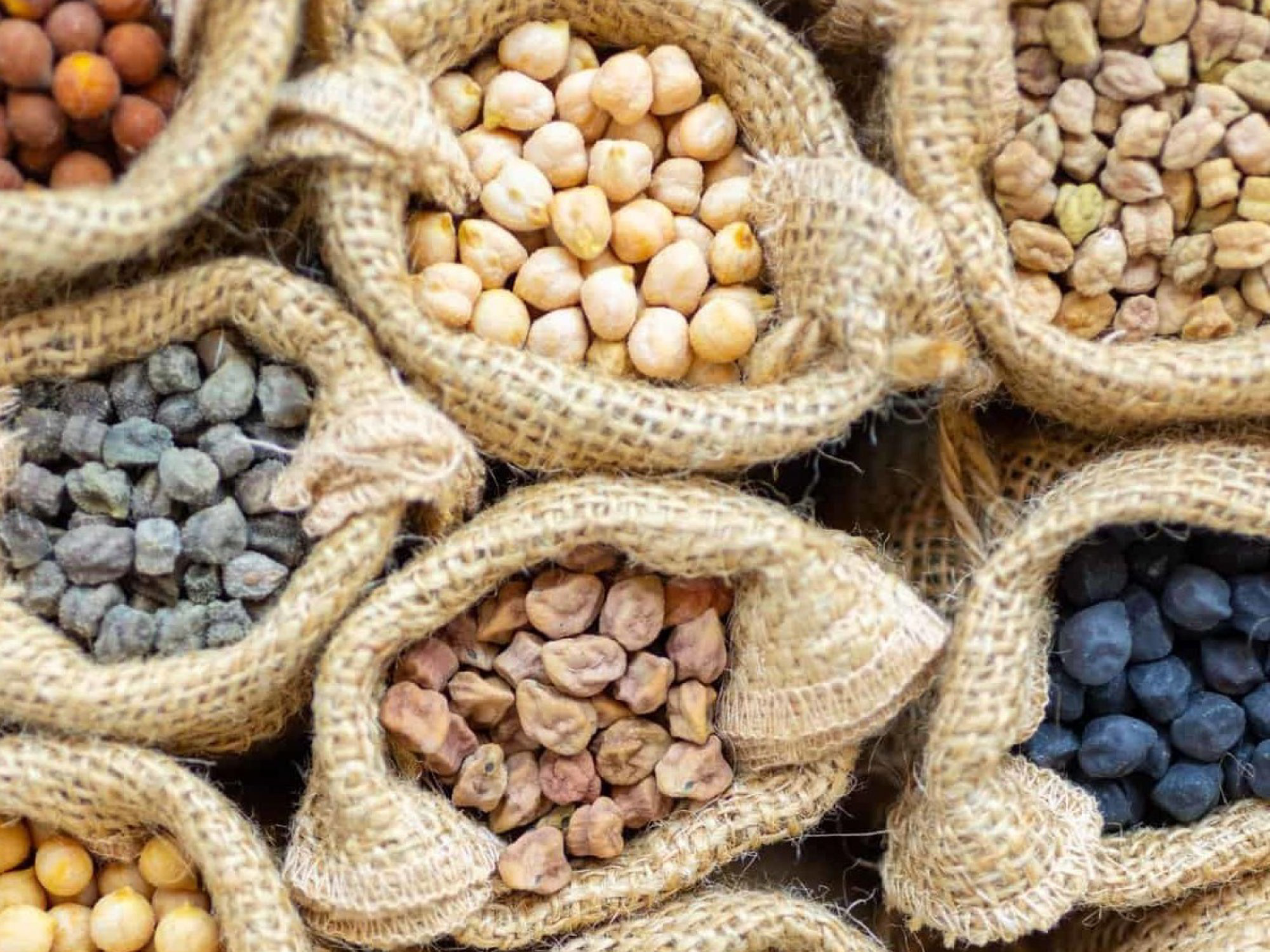 Plant protein for a regenerative food system - The Good Food Institute