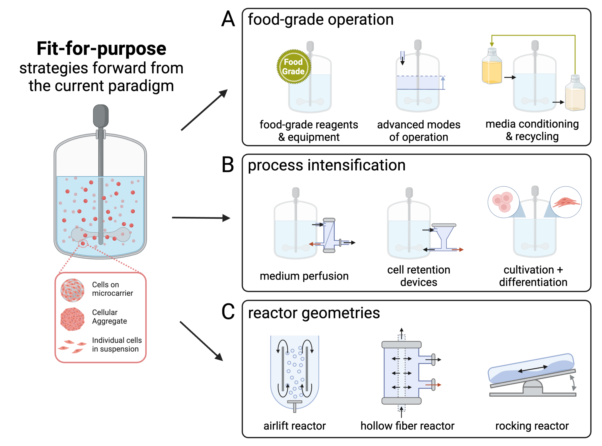 Developing scalable, fit-for-purpose bioreactor and bioprocessing ...