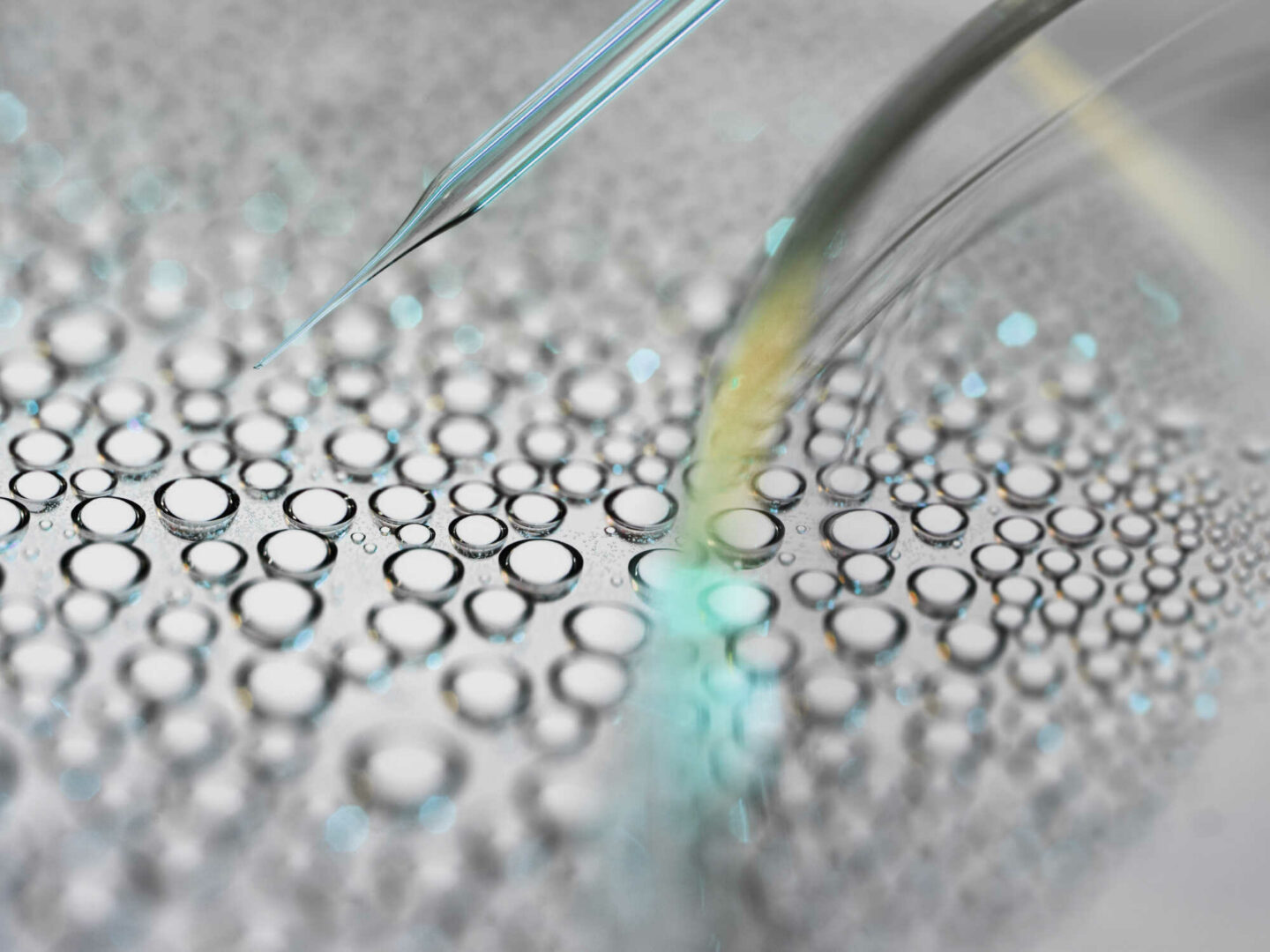 The Science of Alt Protein: Development of induced pluripotent stem ...