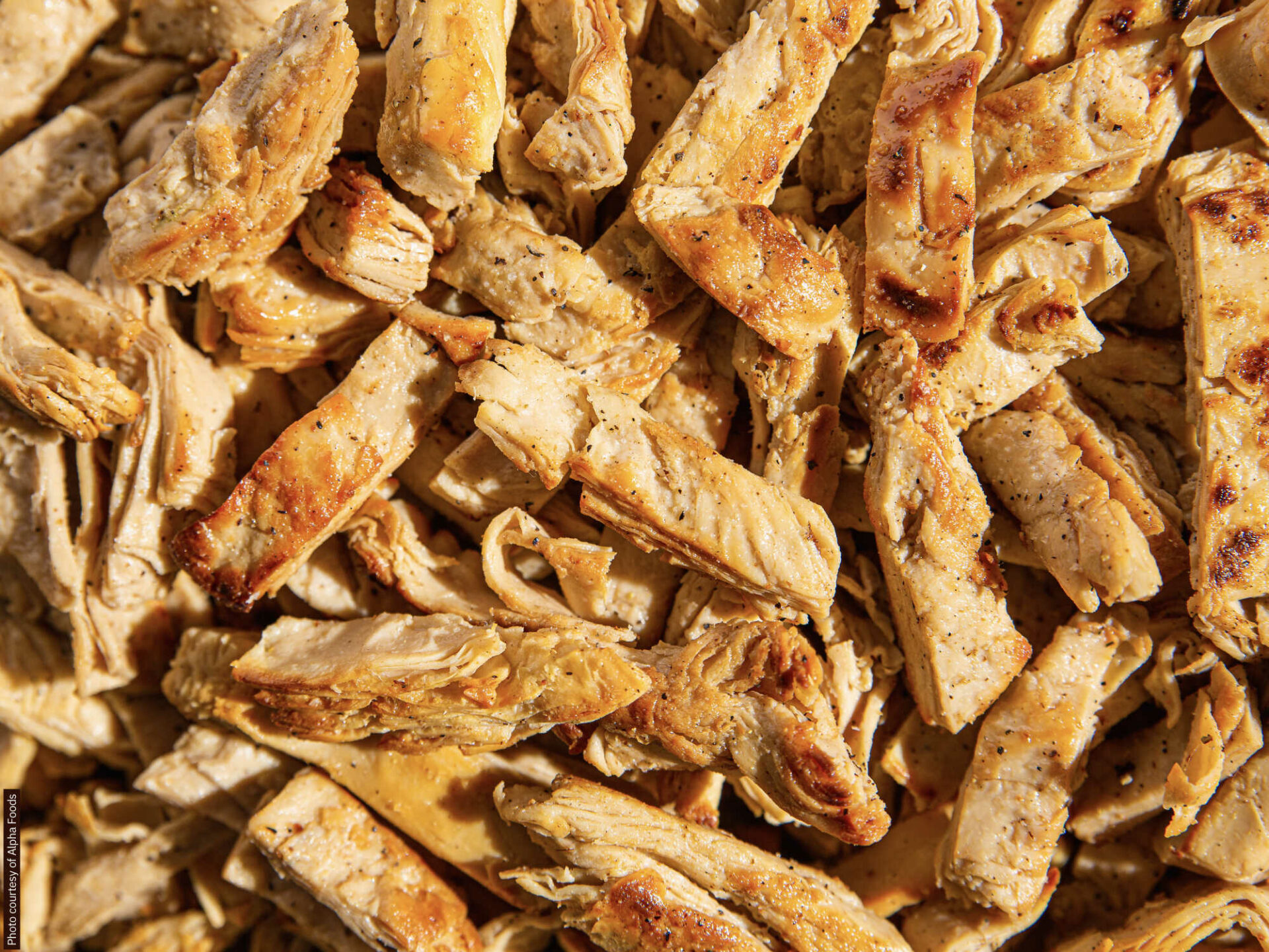 The Science of Alt Protein: From prototype to production — scalable ...