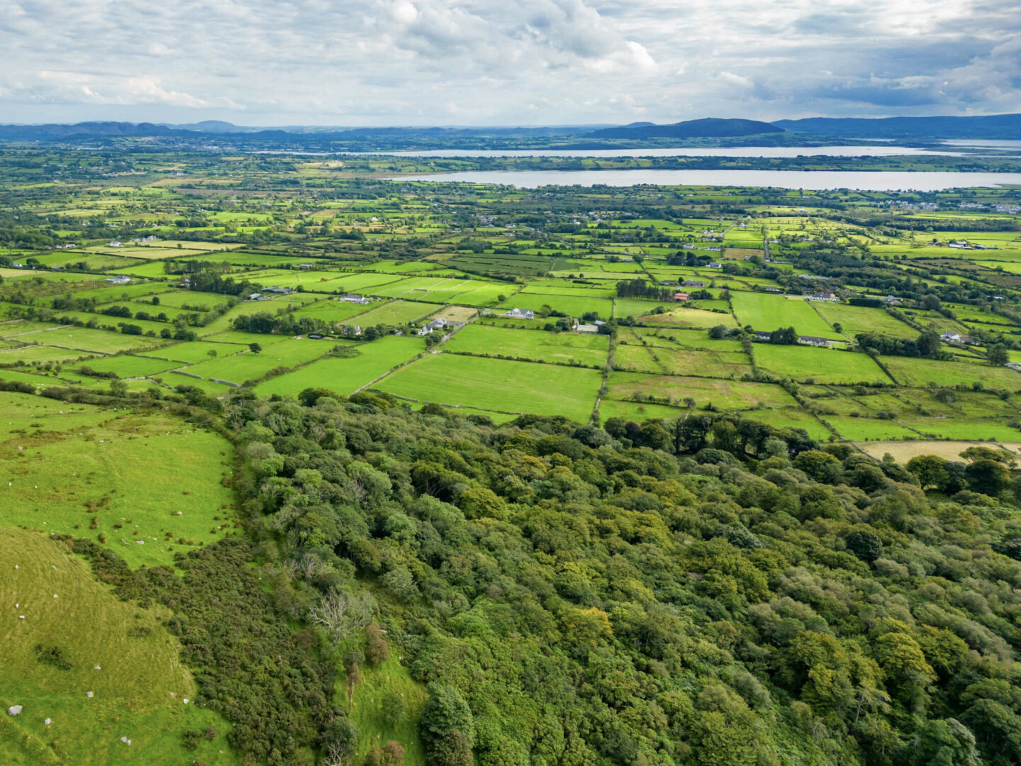 Land use analysis for alternative proteins and U.S. climate goals - The ...