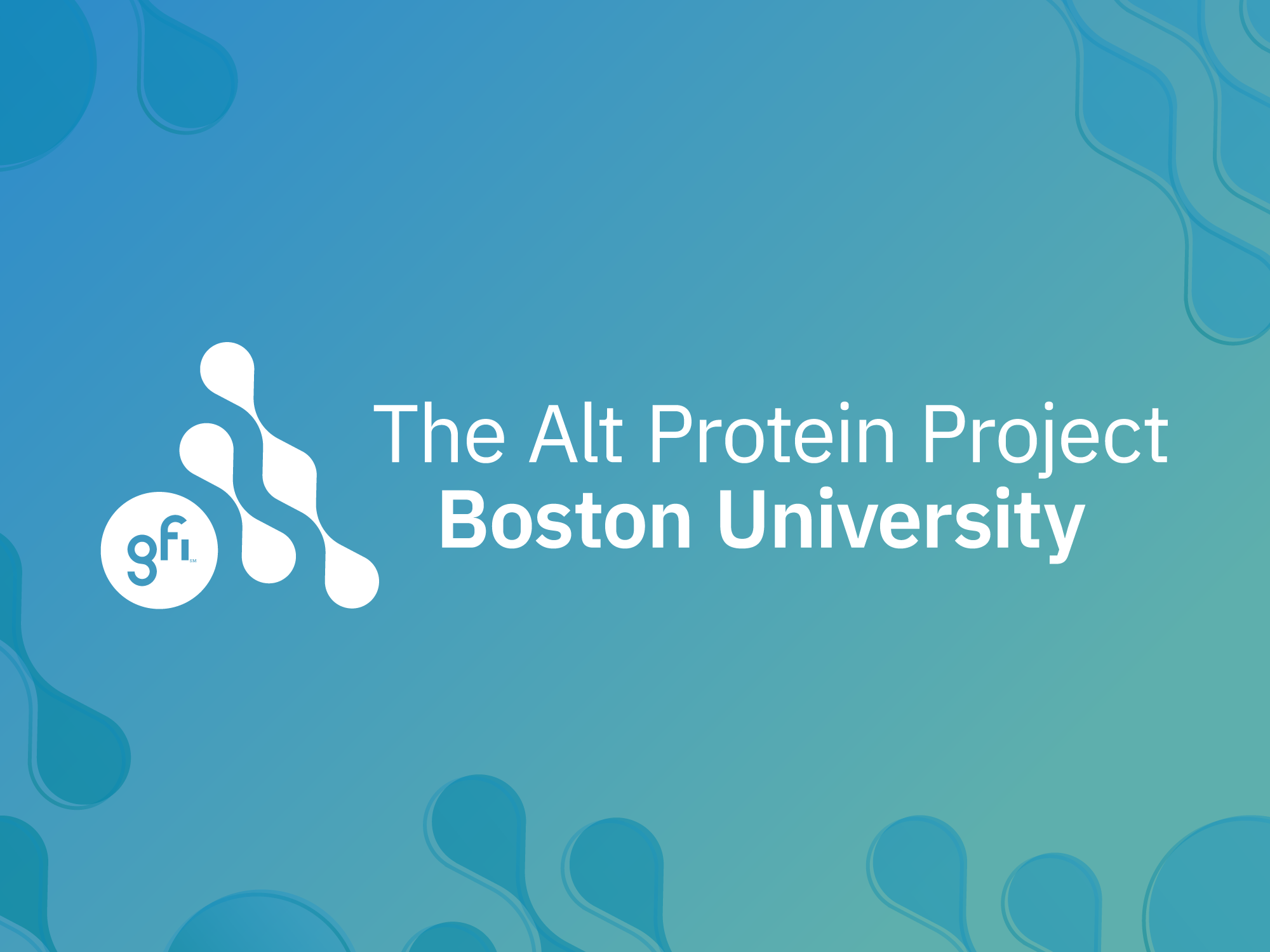 The BU Alt Protein Project - The Good Food Institute