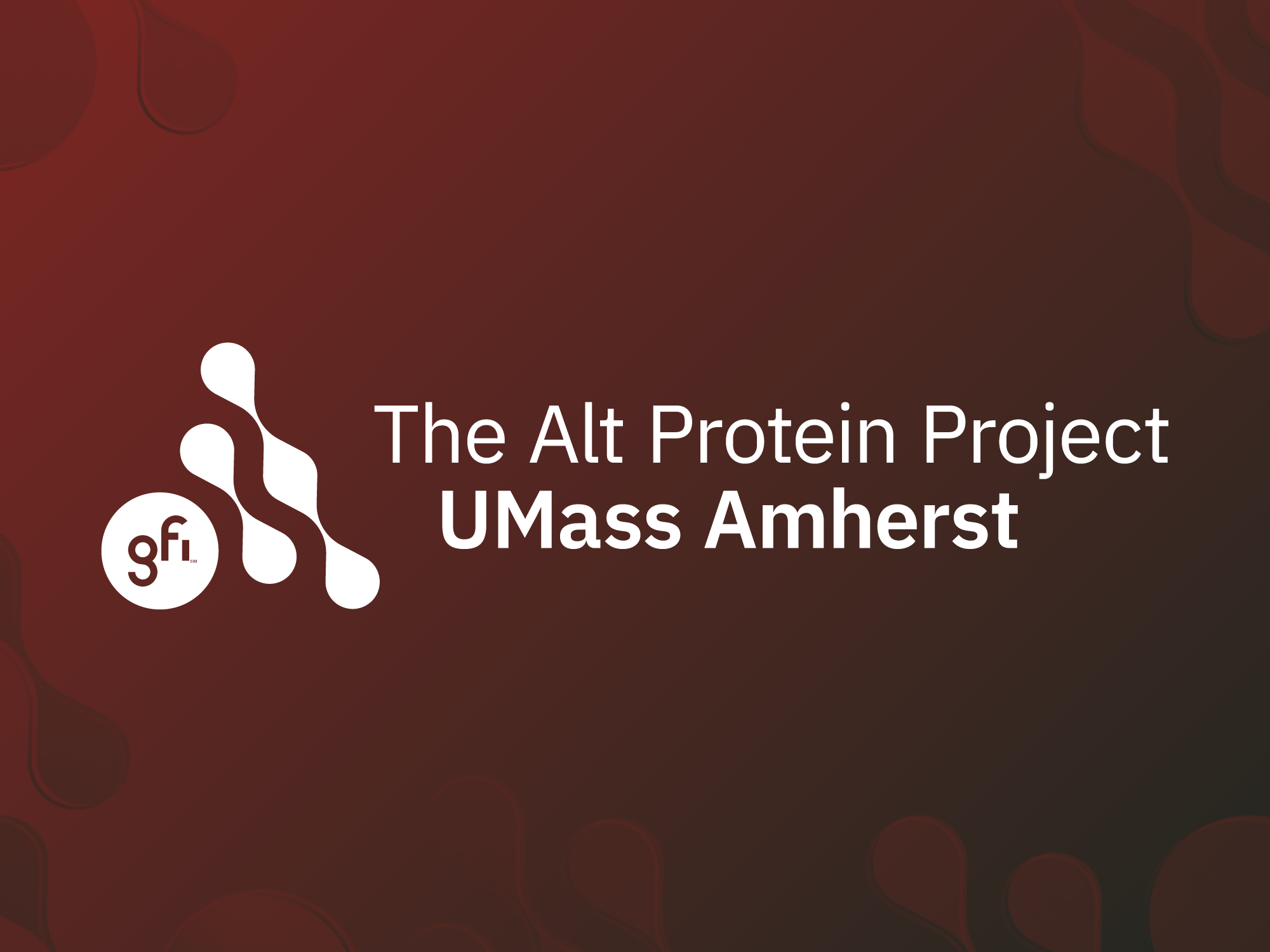 The UMass Amherst Alt Protein Project - The Good Food Institute The UMass Amherst Alt Protein Project - The Good Food Institute