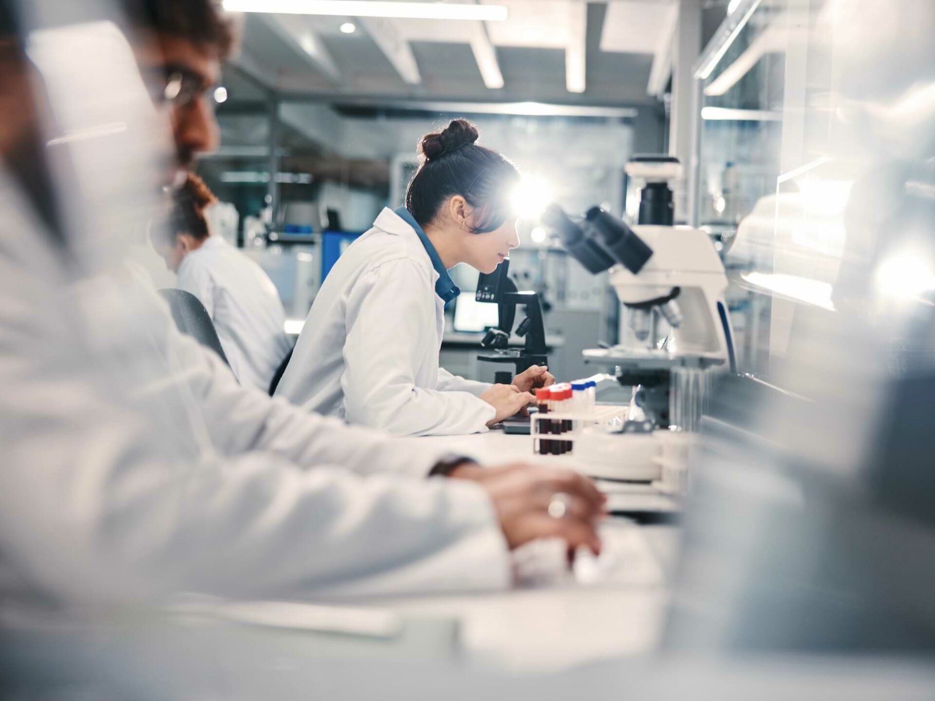 Building the next generation of alternative protein innovators - The Good Food Institute