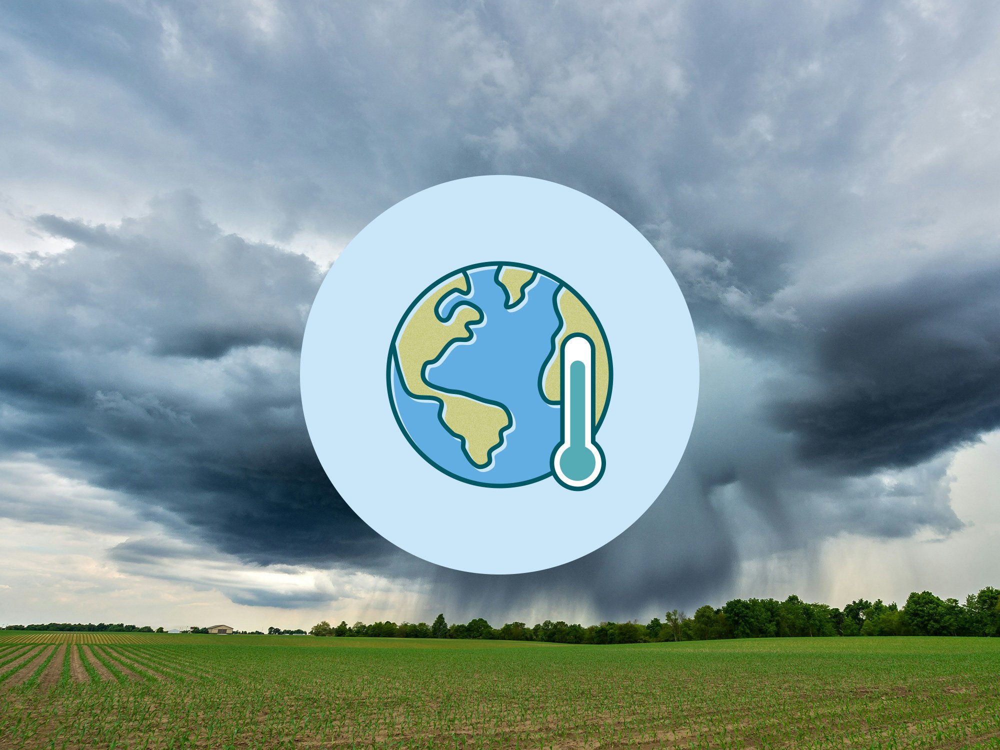 Climate solutions - The Good Food Institute