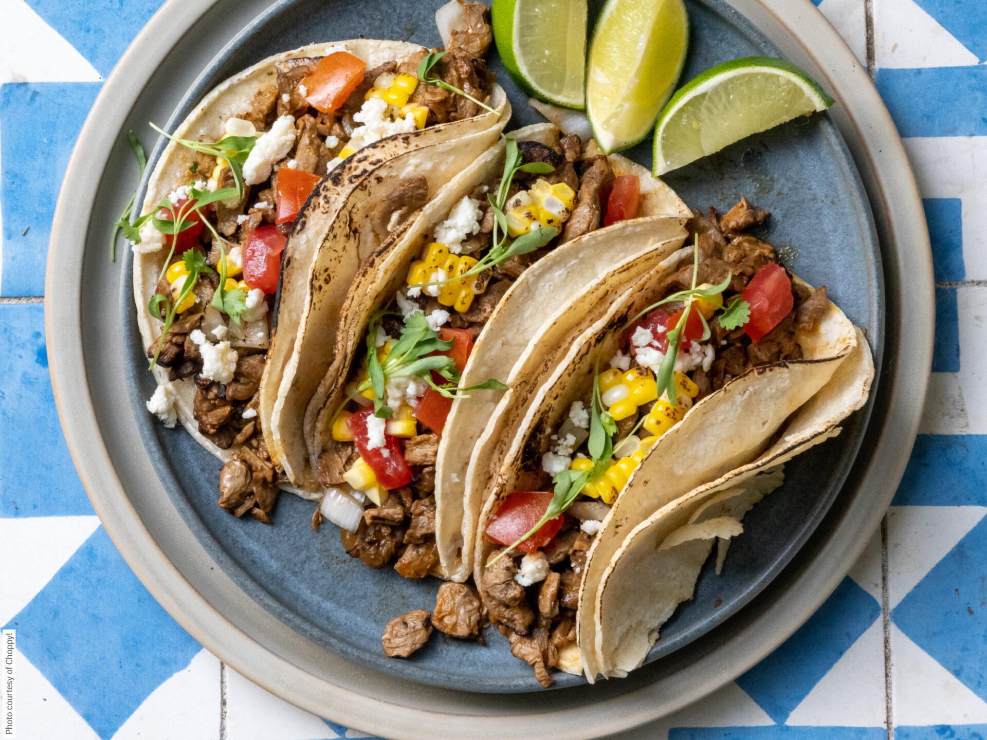 Category update on blended meat - The Good Food Institute