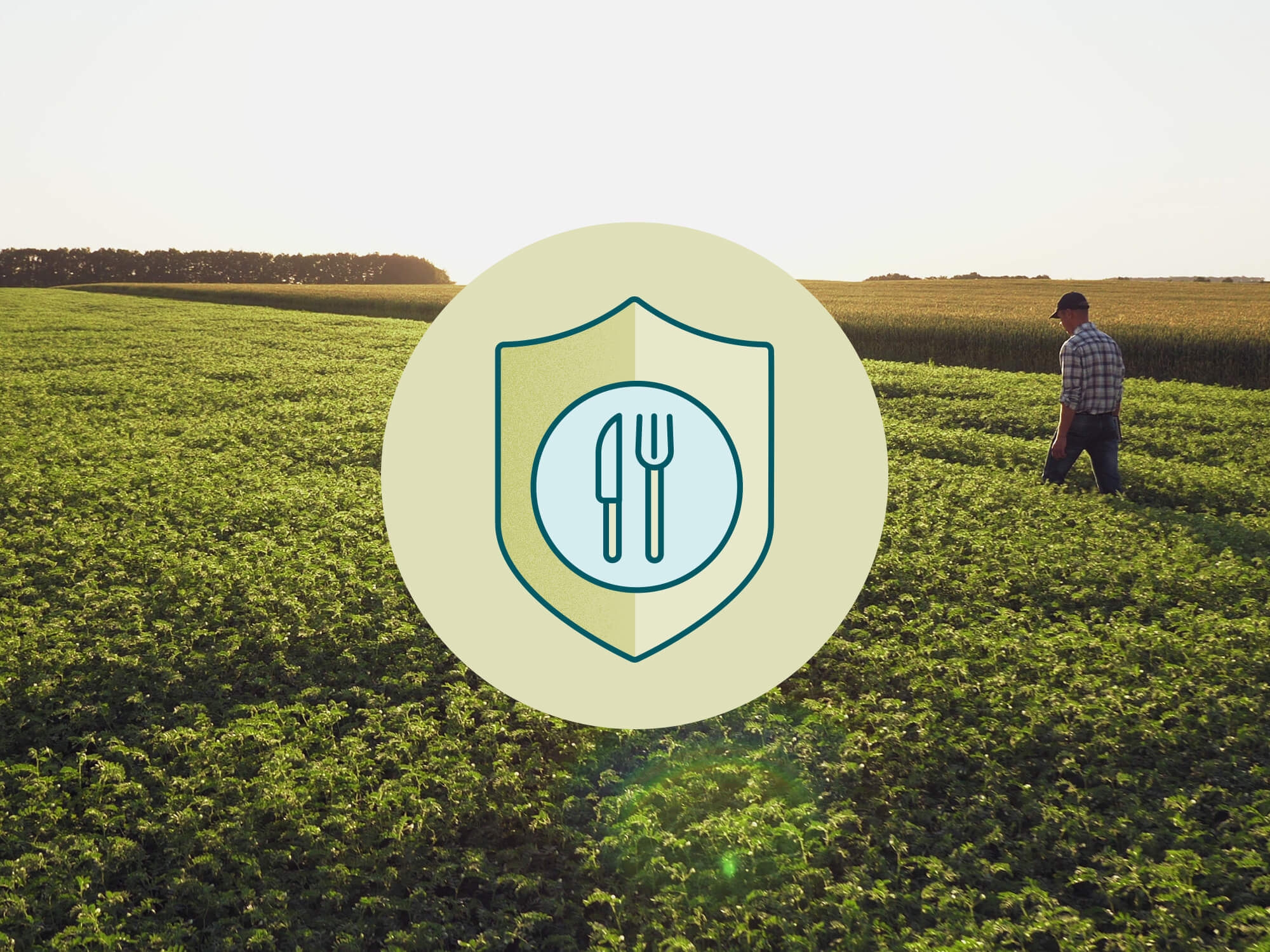 Alternative proteins are a global food security solution - The Good ...