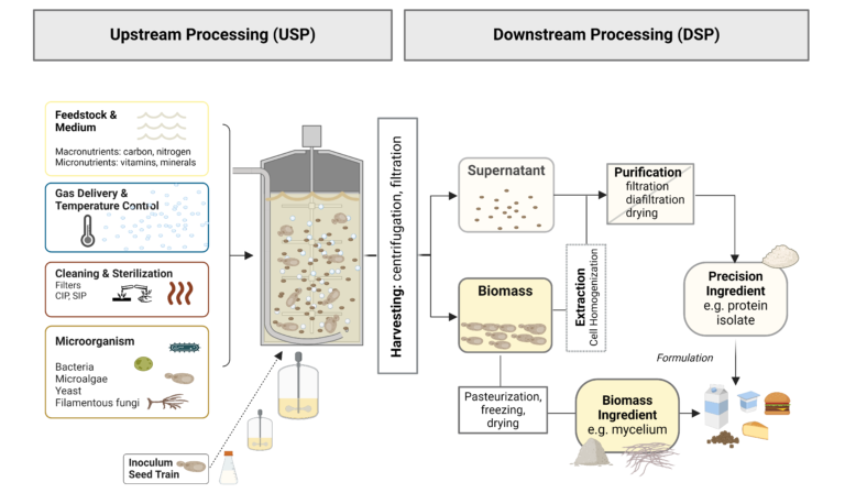 Deep dive: Fermentation upstream bioprocess design - The Good Food Institute