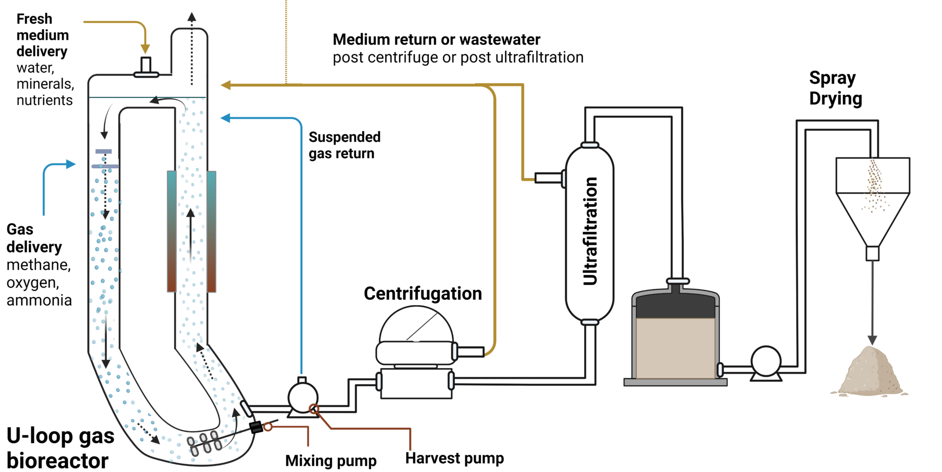Deep dive: Fermentation upstream bioprocess design - The Good Food ...