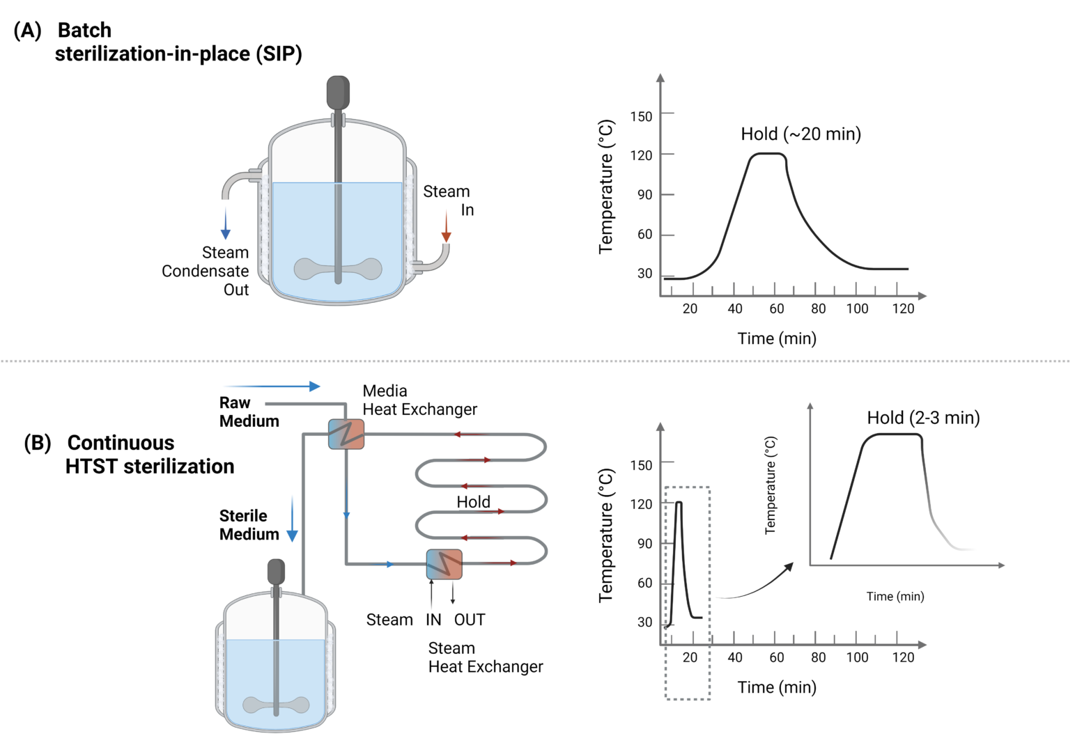 Deep dive: Fermentation upstream bioprocess design - The Good Food Institute