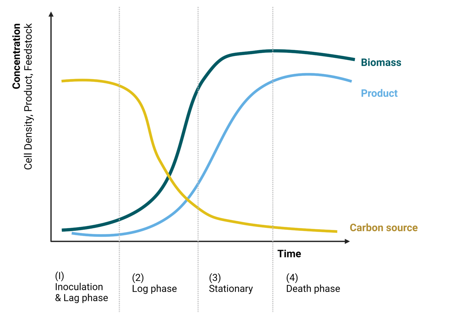 Deep dive: Fermentation upstream bioprocess design - The Good Food ...