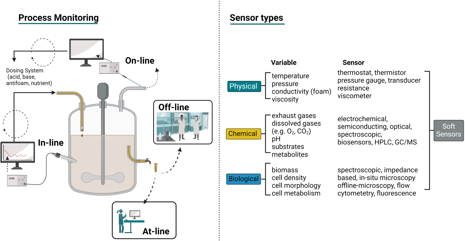 Deep dive: Fermentation upstream bioprocess design - The Good Food ...
