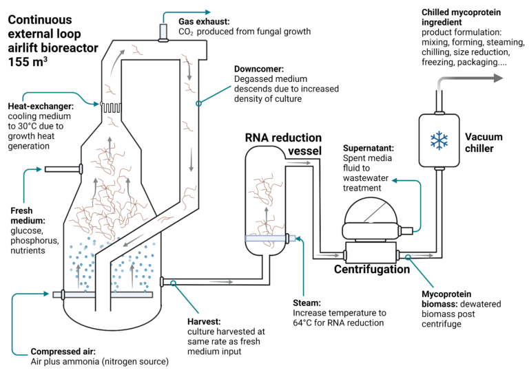 Deep dive: Fermentation upstream bioprocess design - The Good Food ...