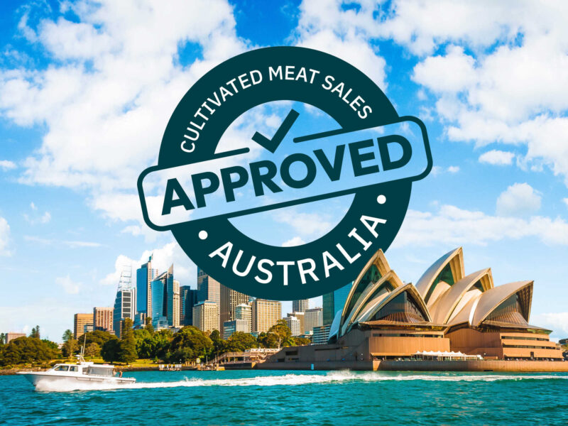 Our role in contributing to Codex standards for alternative proteins ...