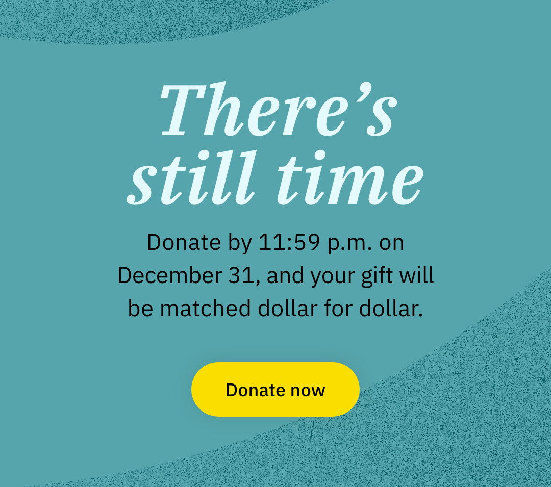 What is fermentation for alternative proteins? | GFI